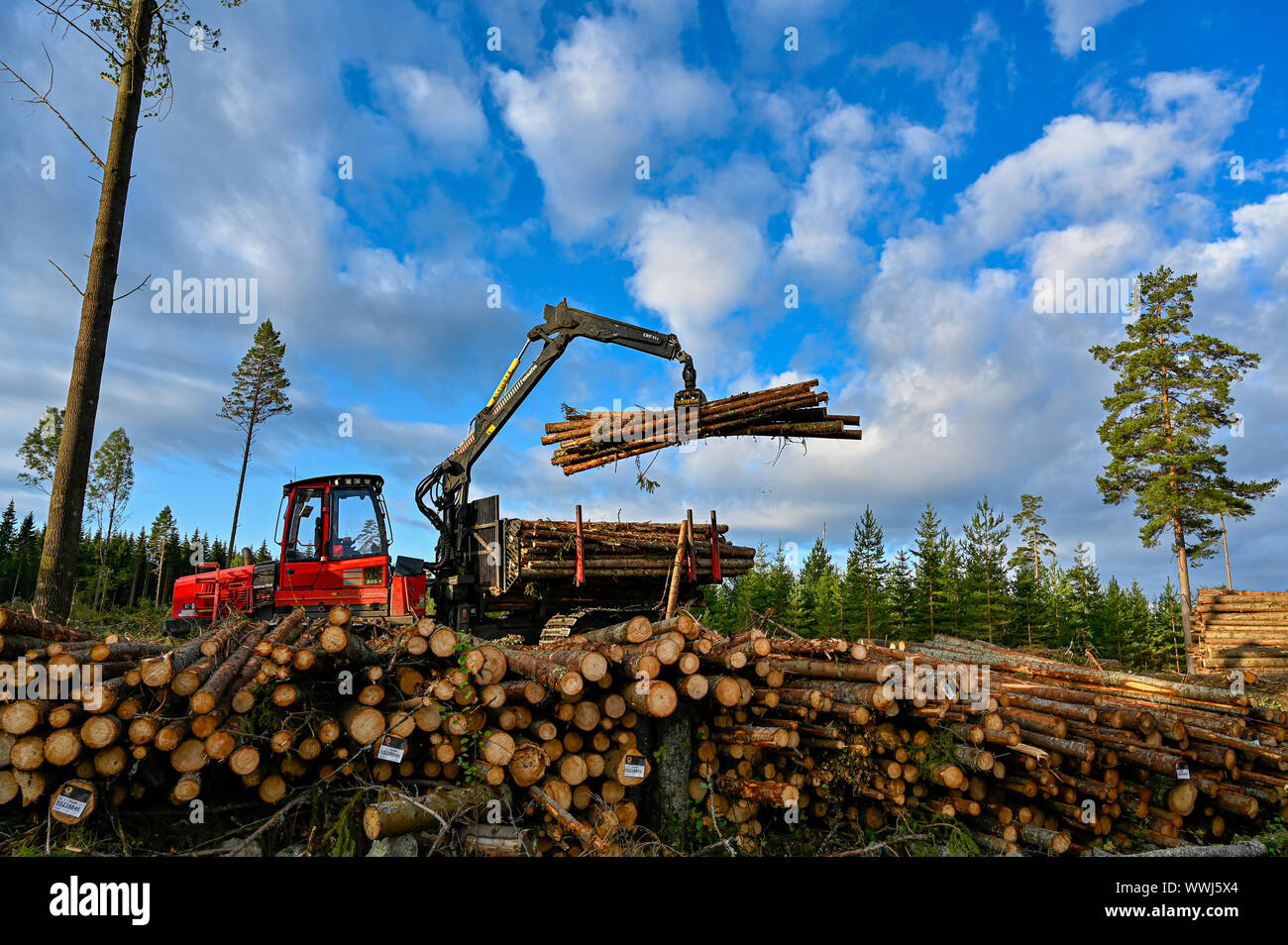 Lifting Tree Trunks High Resolution Stock Photography and Images - Alamy