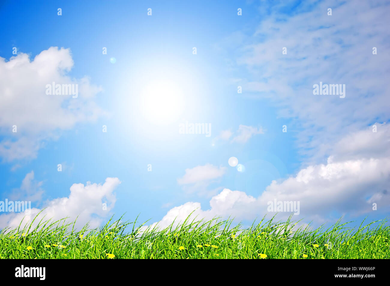 Fresh, clean summer landscape. Ideal as a background Stock Photo - Alamy