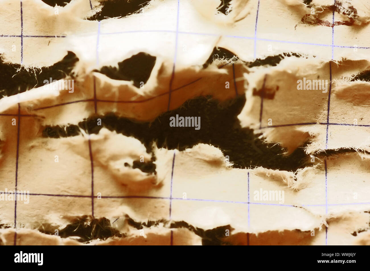 Notebook with holes. Background ready to use! Stock Photo - Alamy