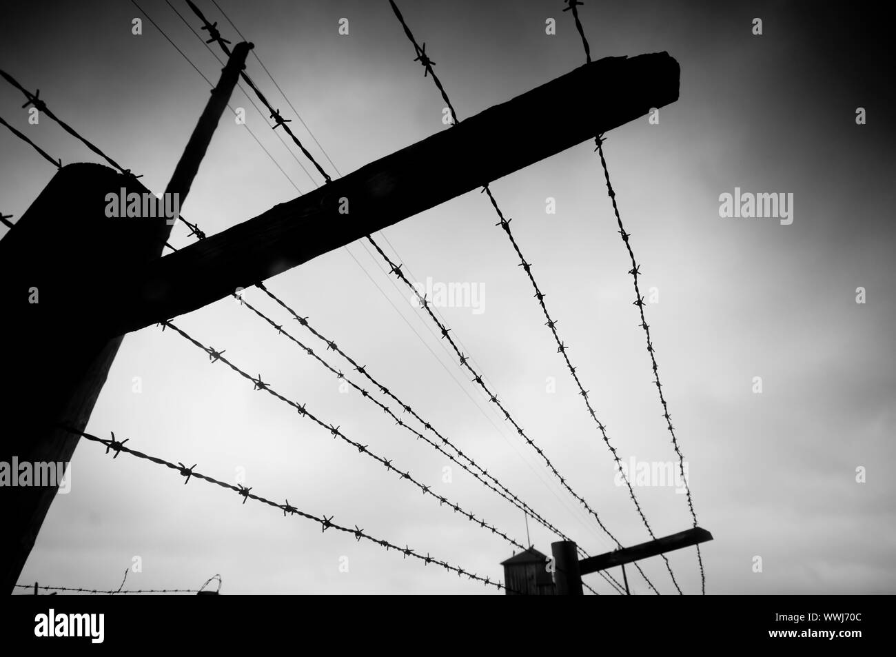 Prison. Barbed wire fence. Black and white Stock Photo - Alamy
