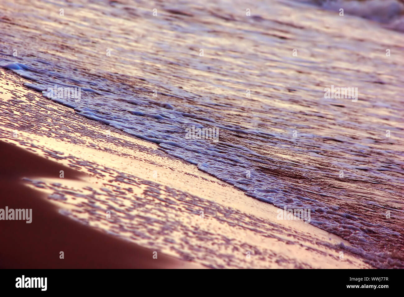 Beautiful ocean in gold sunshine Stock Photo - Alamy