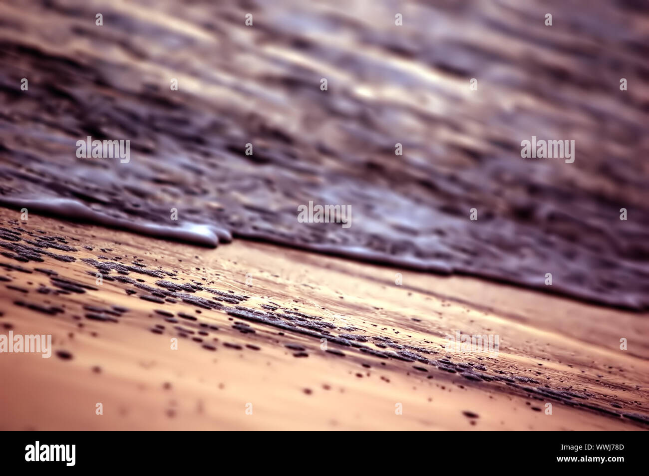 Subtle gold hue hi-res stock photography and images - Alamy