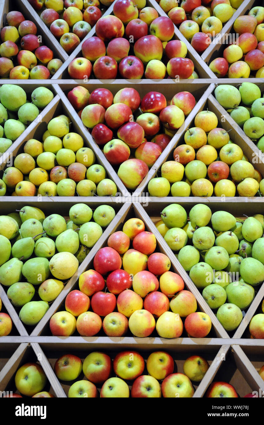 different apple varieties Stock Photo - Alamy