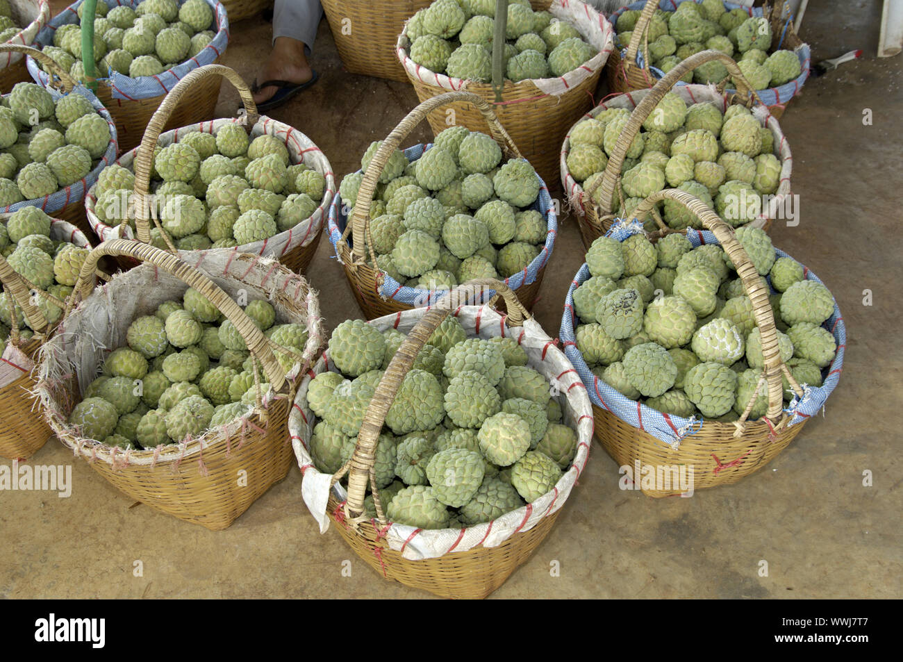 Noina fruit hi-res stock photography and images - Alamy