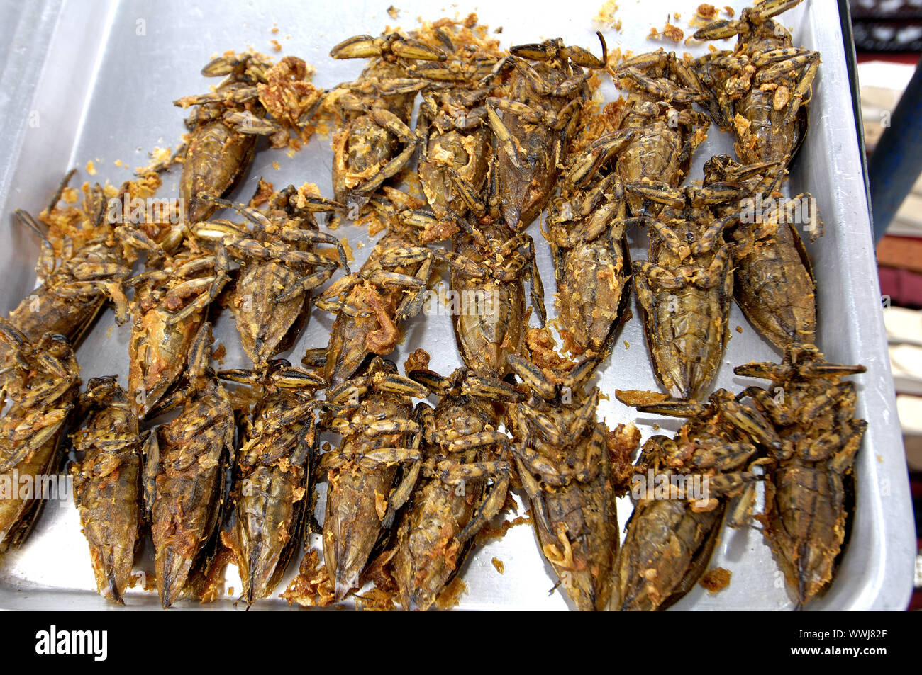 fried bugs, Thailand Stock Photo - Alamy