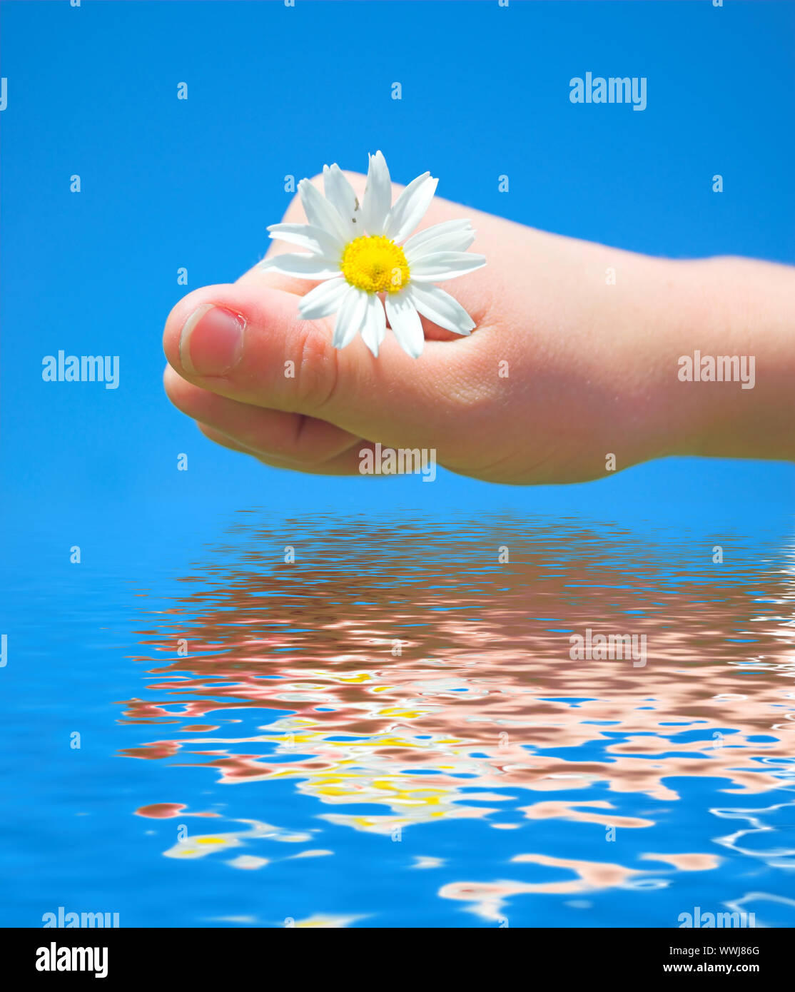 SPRING FEELINGS. Young hand with flower about clear water Stock Photo ...