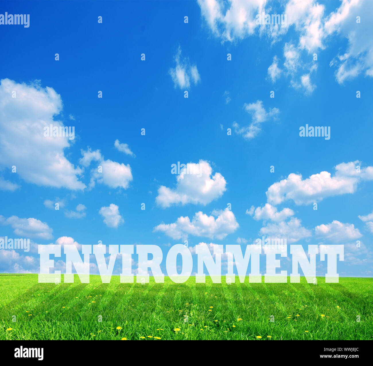 Nature background with environment caption. Conceptual image Stock ...