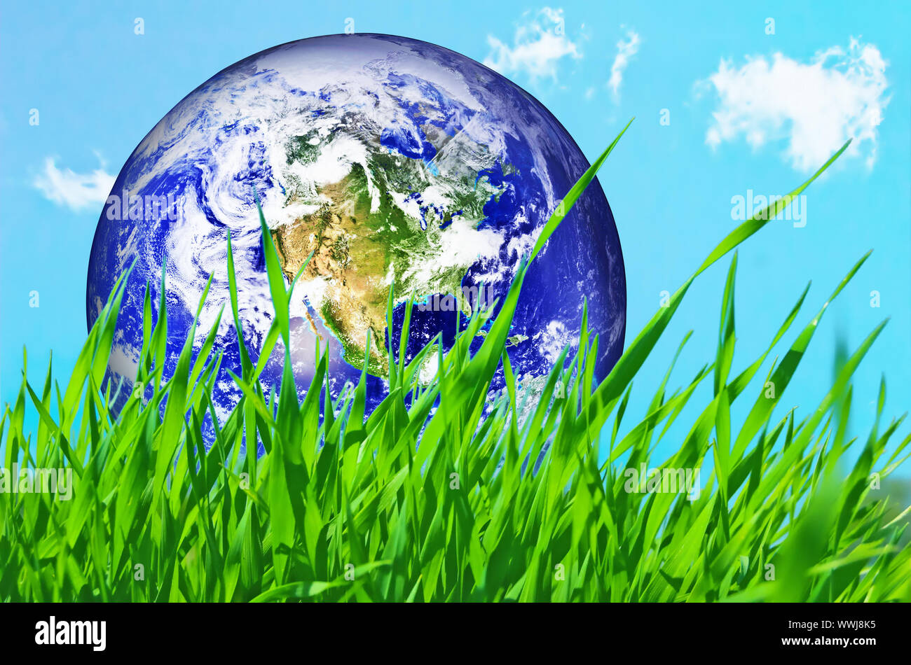Earth globe in green grass conceptual Stock Photo - Alamy