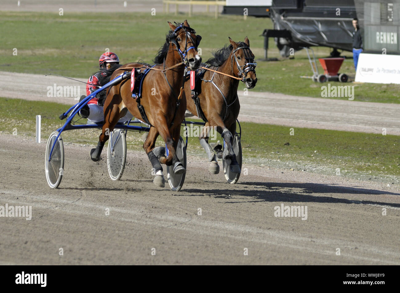 before the finish line Stock Photo - Alamy