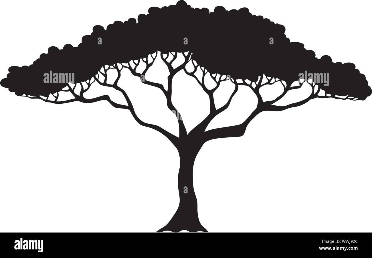 Tropical tree silhouette Stock Vector Image & Art - Alamy