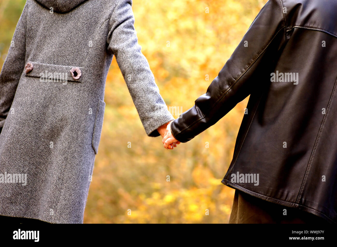Hand-in-hand. Couple love in autumn scenery Stock Photo - Alamy