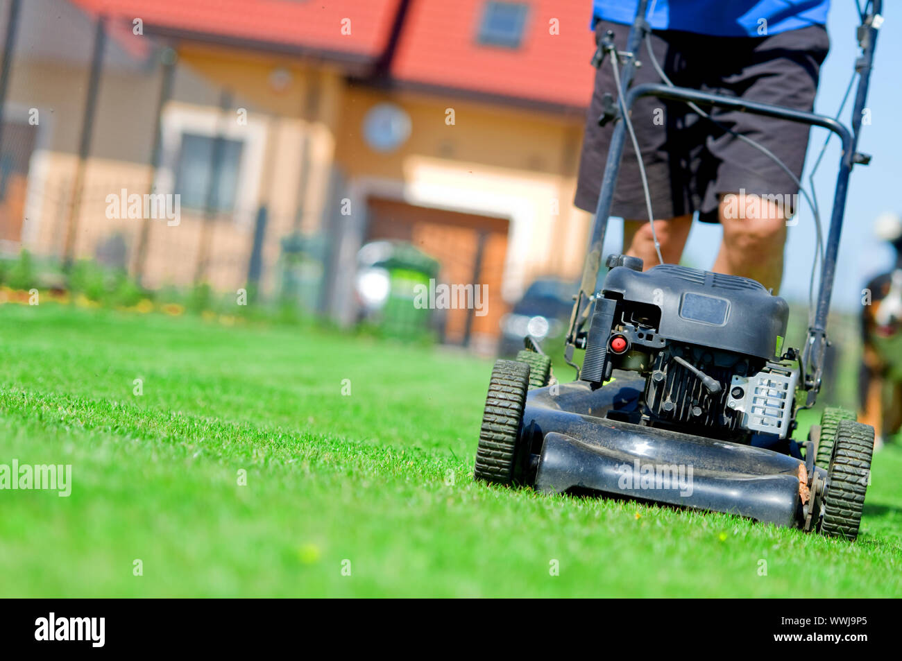 Man mowing the lawn. Gardening Stock Photo - Alamy