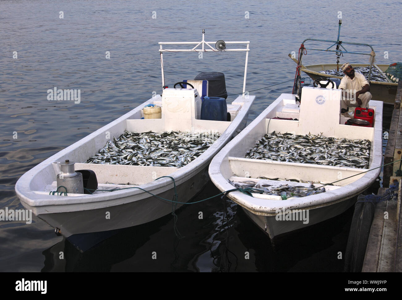 Fishing boats with fresh catch Stock Photo - Alamy