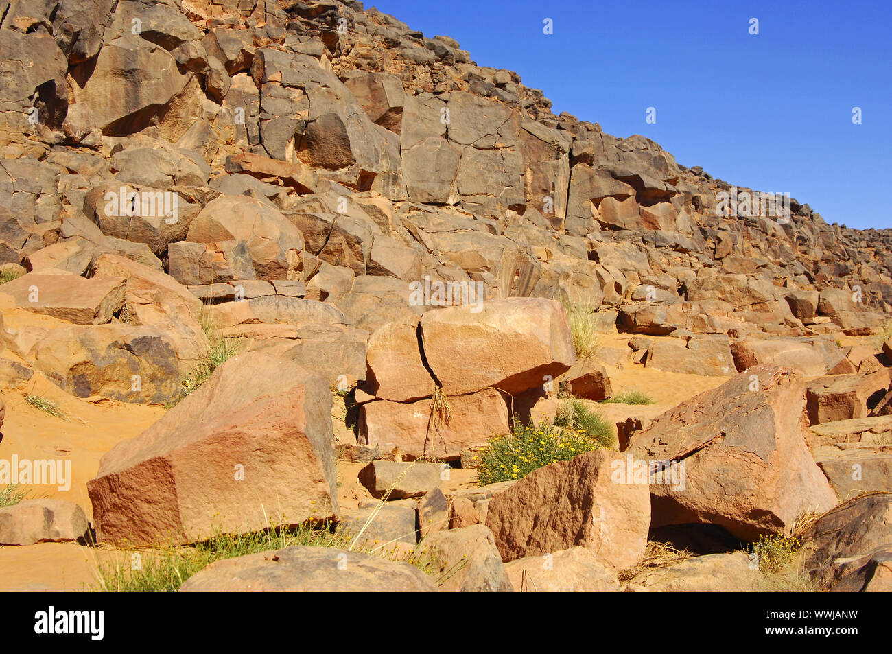 Granite stones in the Hammada Desert, Sahara Stock Photo - Alamy