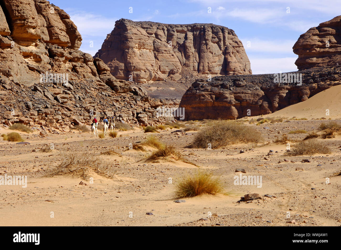 Tourists ride in a wadi of the Sahara Stock Photo - Alamy
