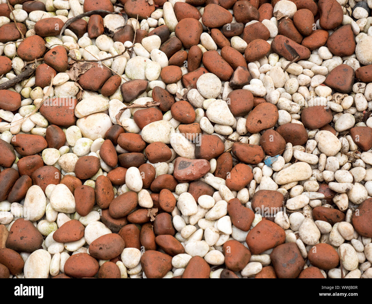 pebble in the garden top view Stock Photo - Alamy