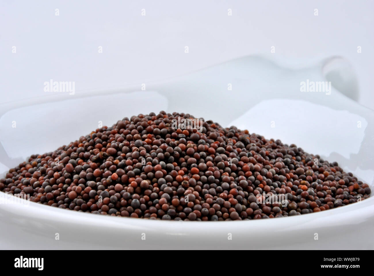 brown mustard seeds are tiny round seed Stock Photo - Alamy
