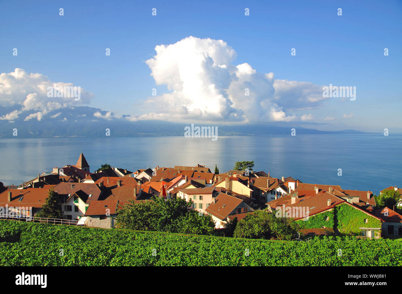 Cully hi-res stock photography and images - Alamy