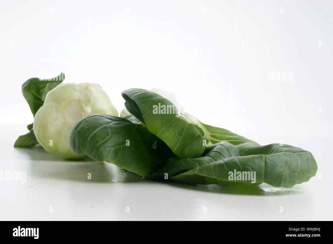 fresh organic pak choi on a white background Stock Photo - Alamy