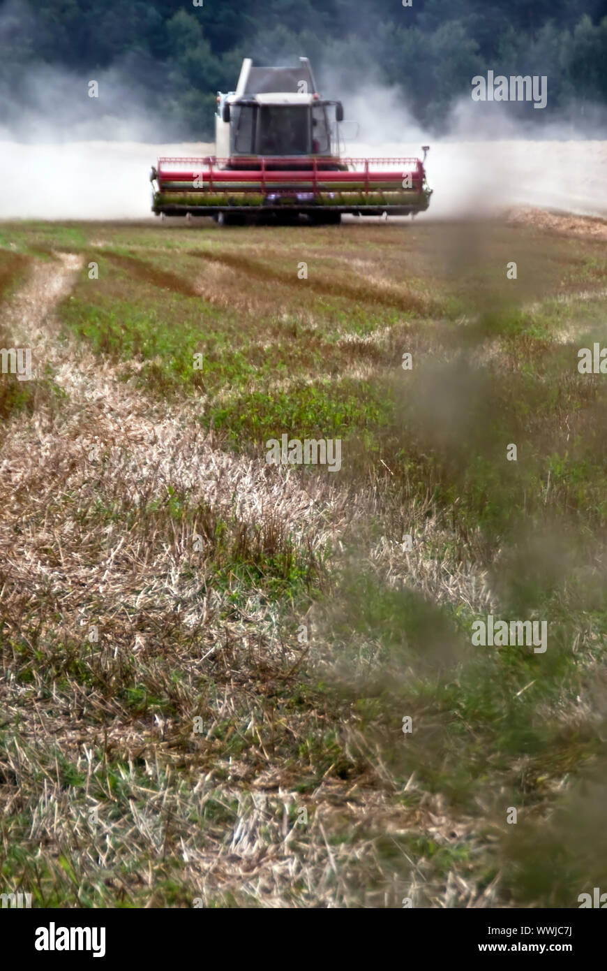 Combine harvesters at work Stock Photo - Alamy