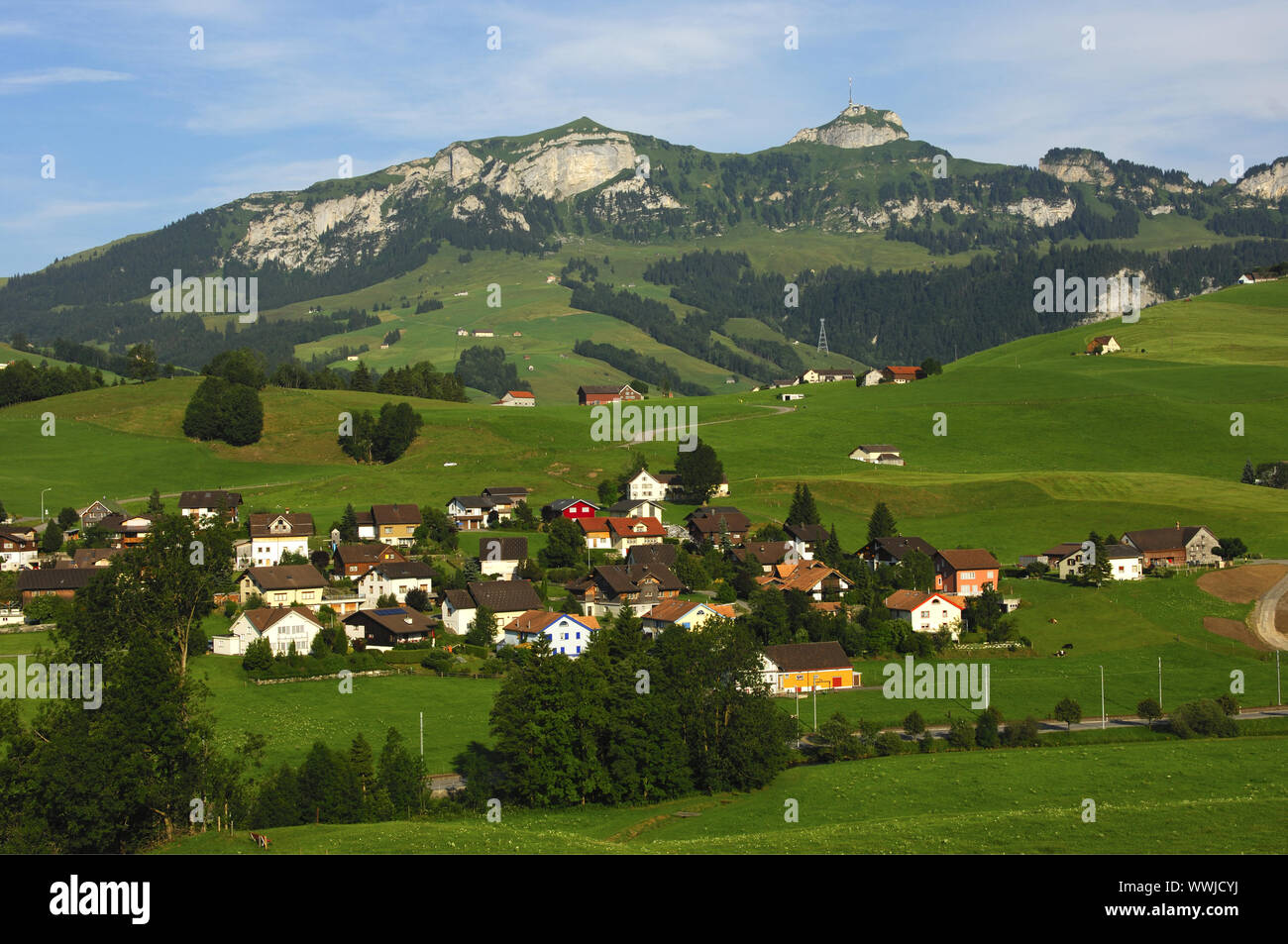 Appenzeller hi-res stock photography and images - Alamy