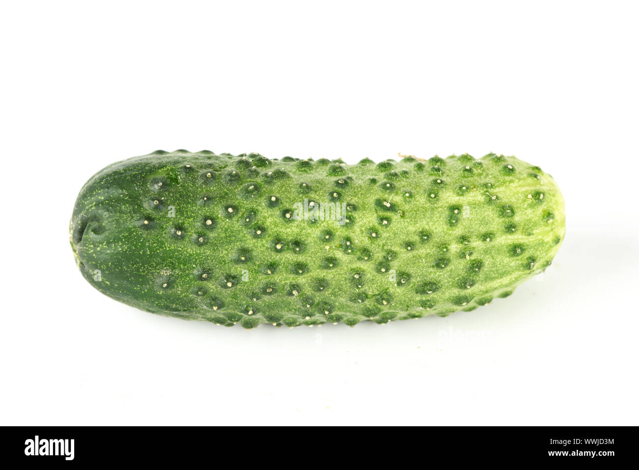 one cucumber isolated on white background Stock Photo - Alamy