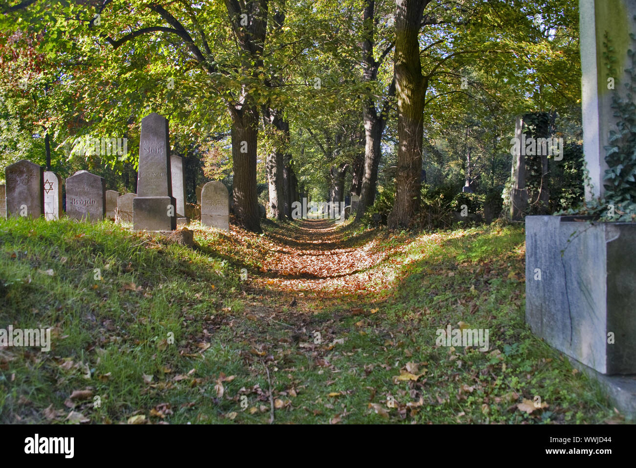Central cemetery with stone tombs hi-res stock photography and images ...