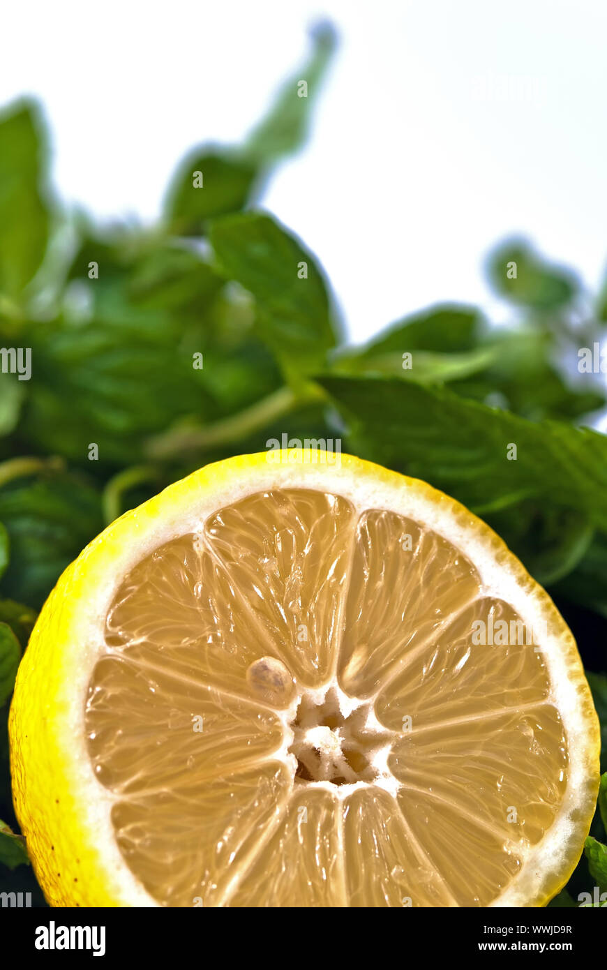 Lemon halved with mint Stock Photo - Alamy