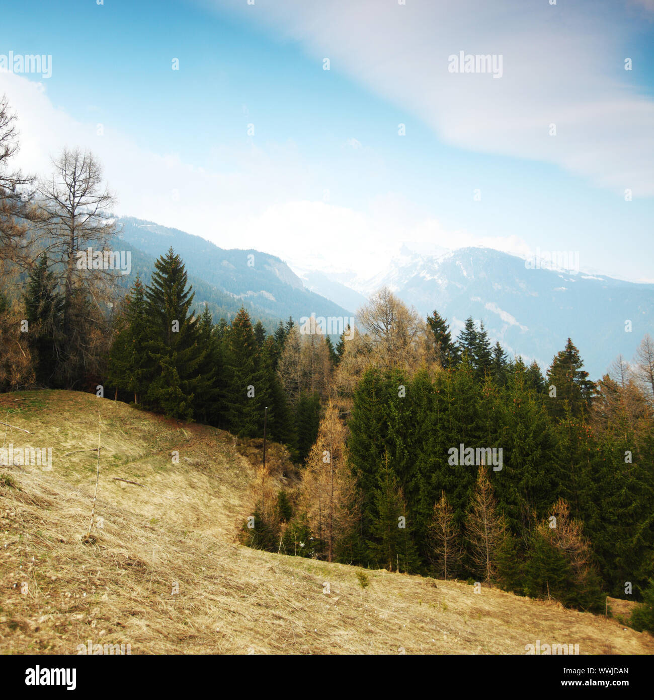 spring alps mountains scene background Stock Photo - Alamy