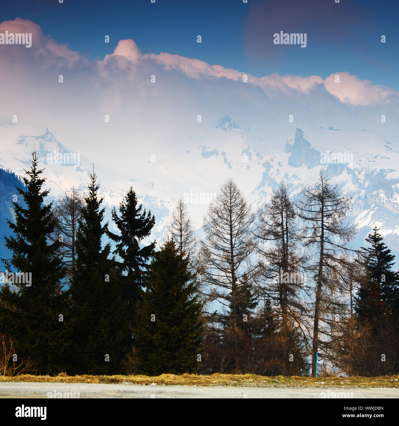 spring alps mountains scene background Stock Photo - Alamy