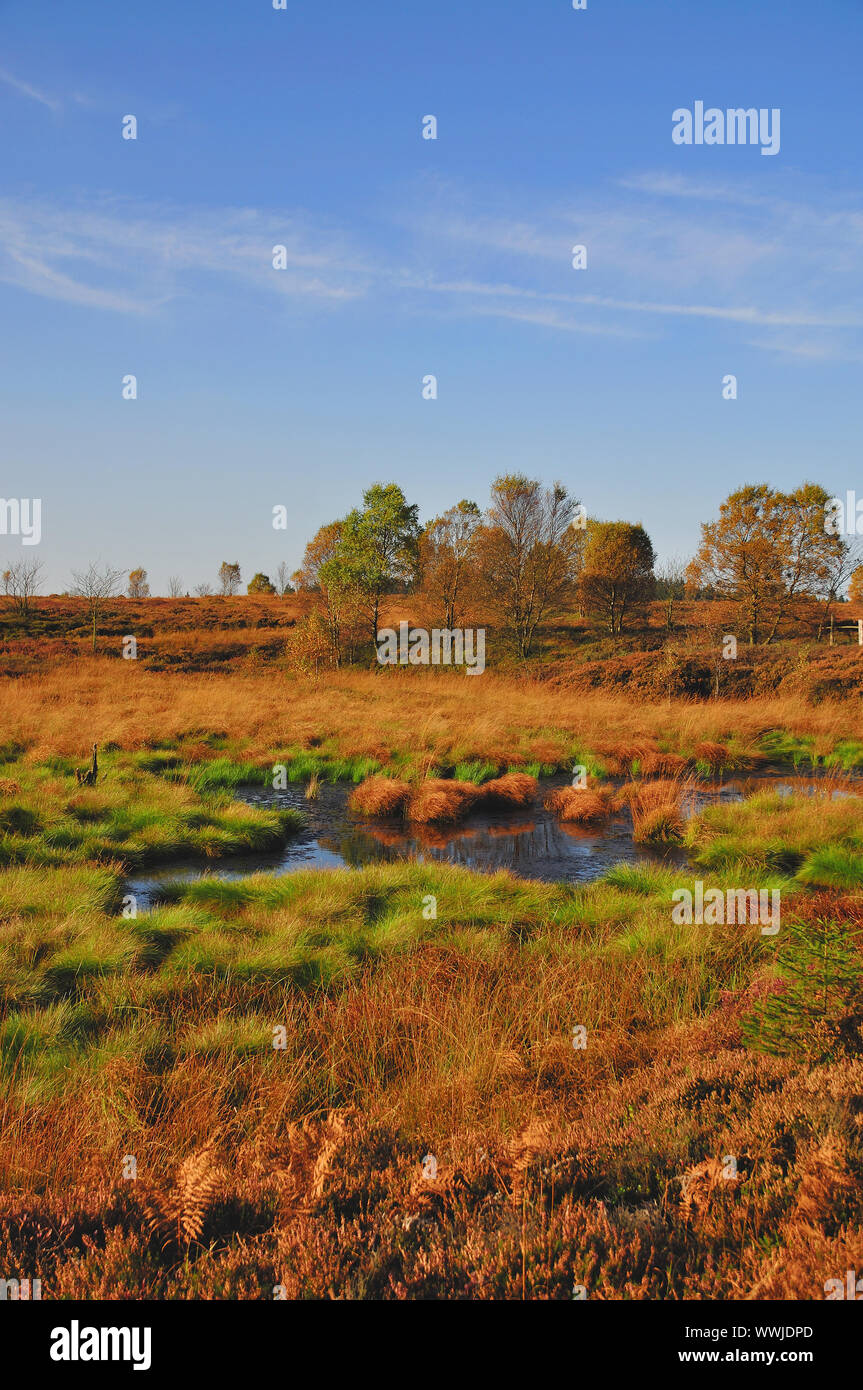 High venn hi-res stock photography and images - Alamy