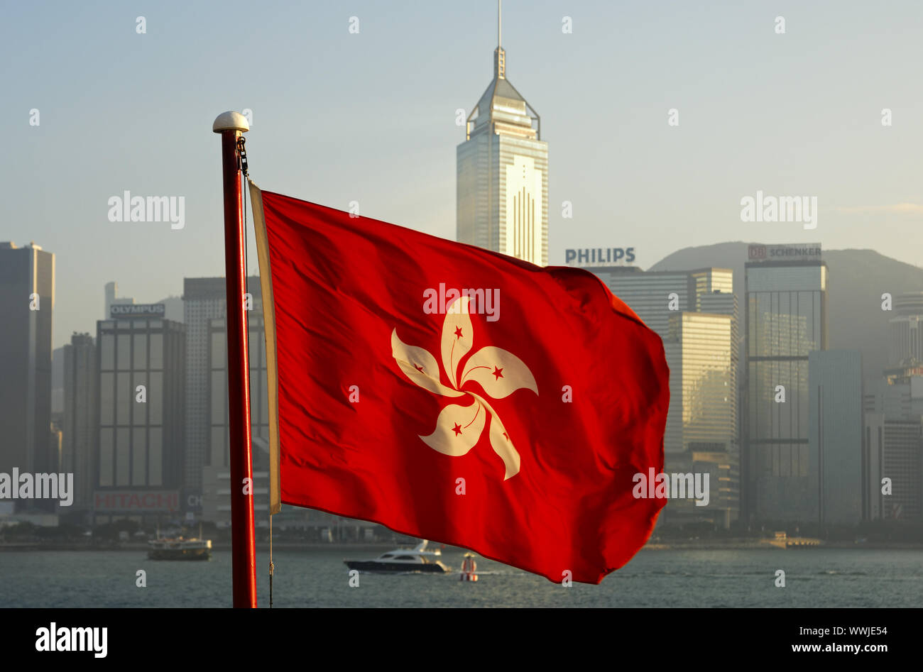 Bauhinia Blakensis High Resolution Stock Photography and Images - Alamy