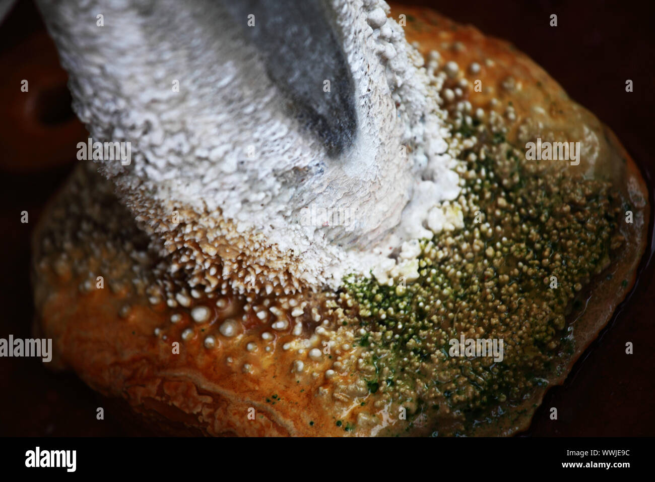 Springs in karlovy vary hi-res stock photography and images - Alamy