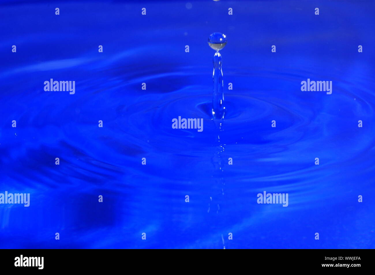 fresh water drop splashing in fresh cool water Stock Photo - Alamy
