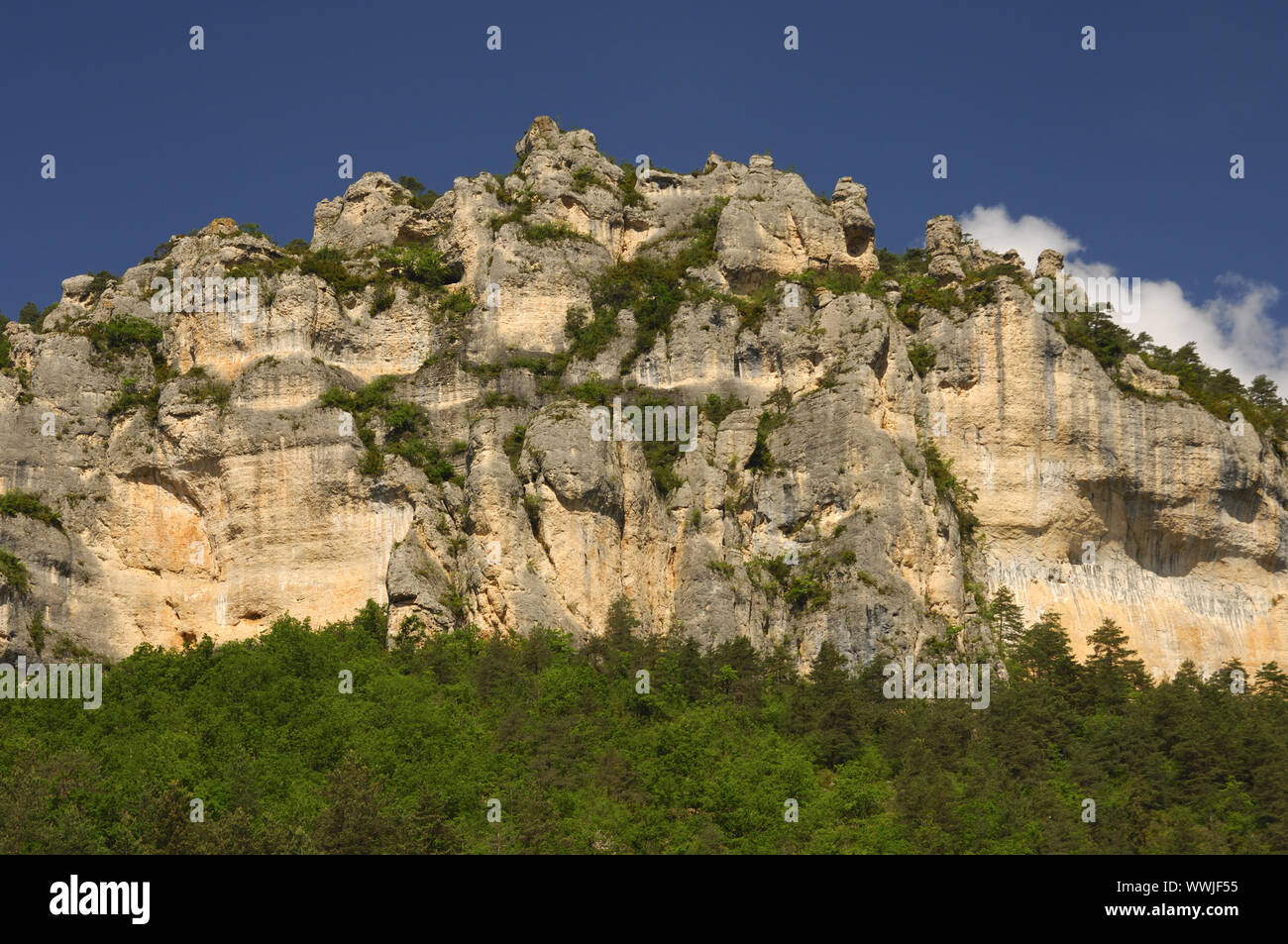 Tarn gorge hi-res stock photography and images - Alamy