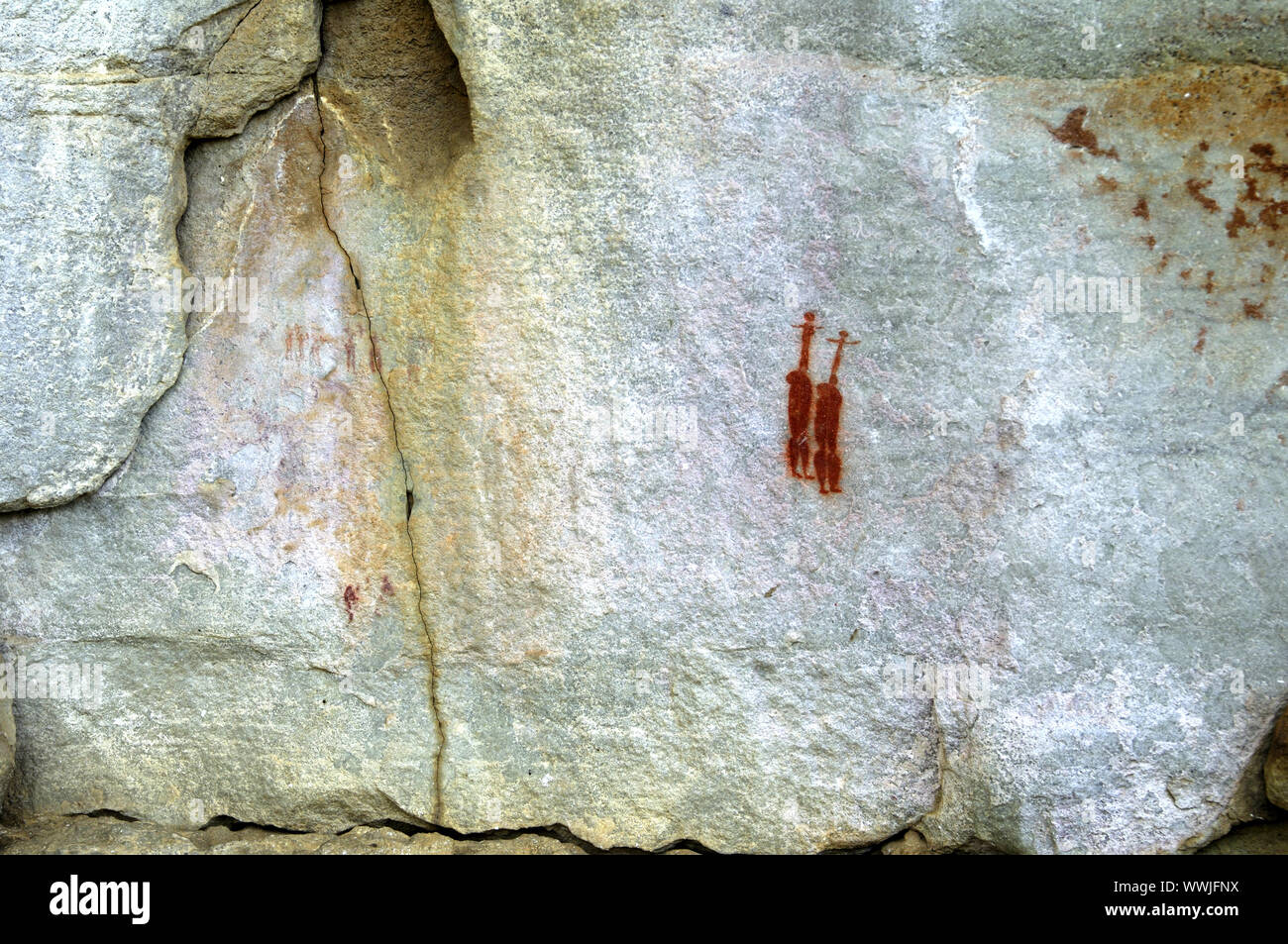 Steatopygia hi-res stock photography and images - Alamy