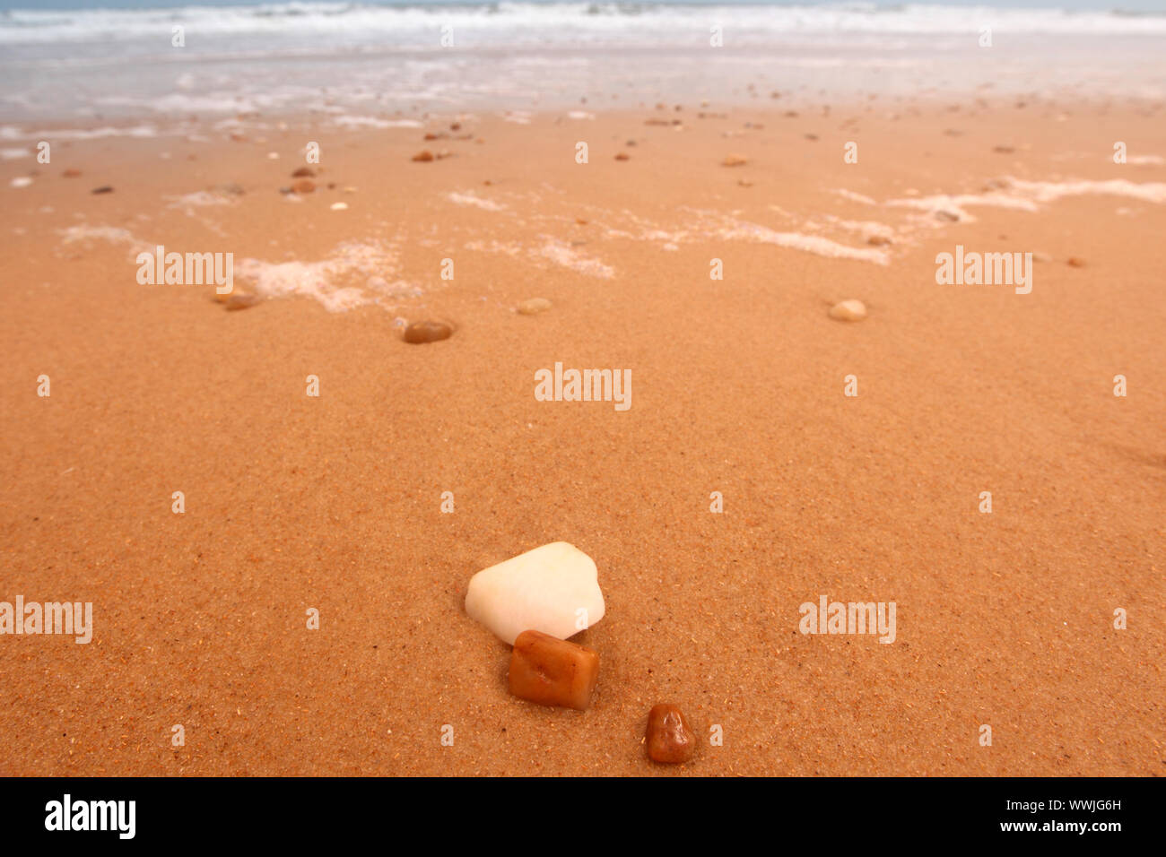 Reef stones an ocean water Stock Photo - Alamy