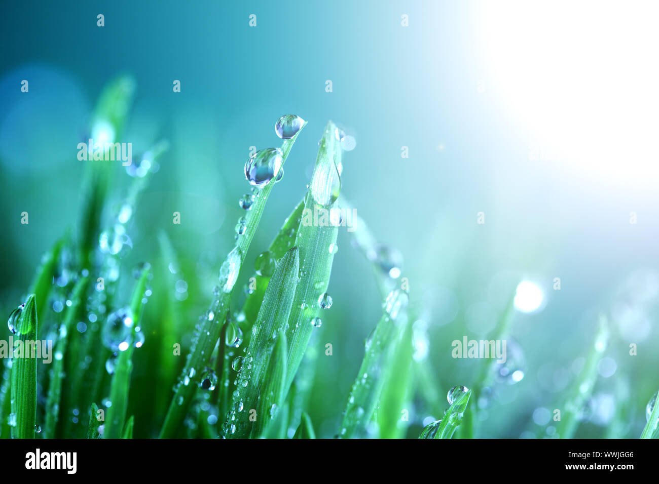 water drop shine in sun light Stock Photo - Alamy