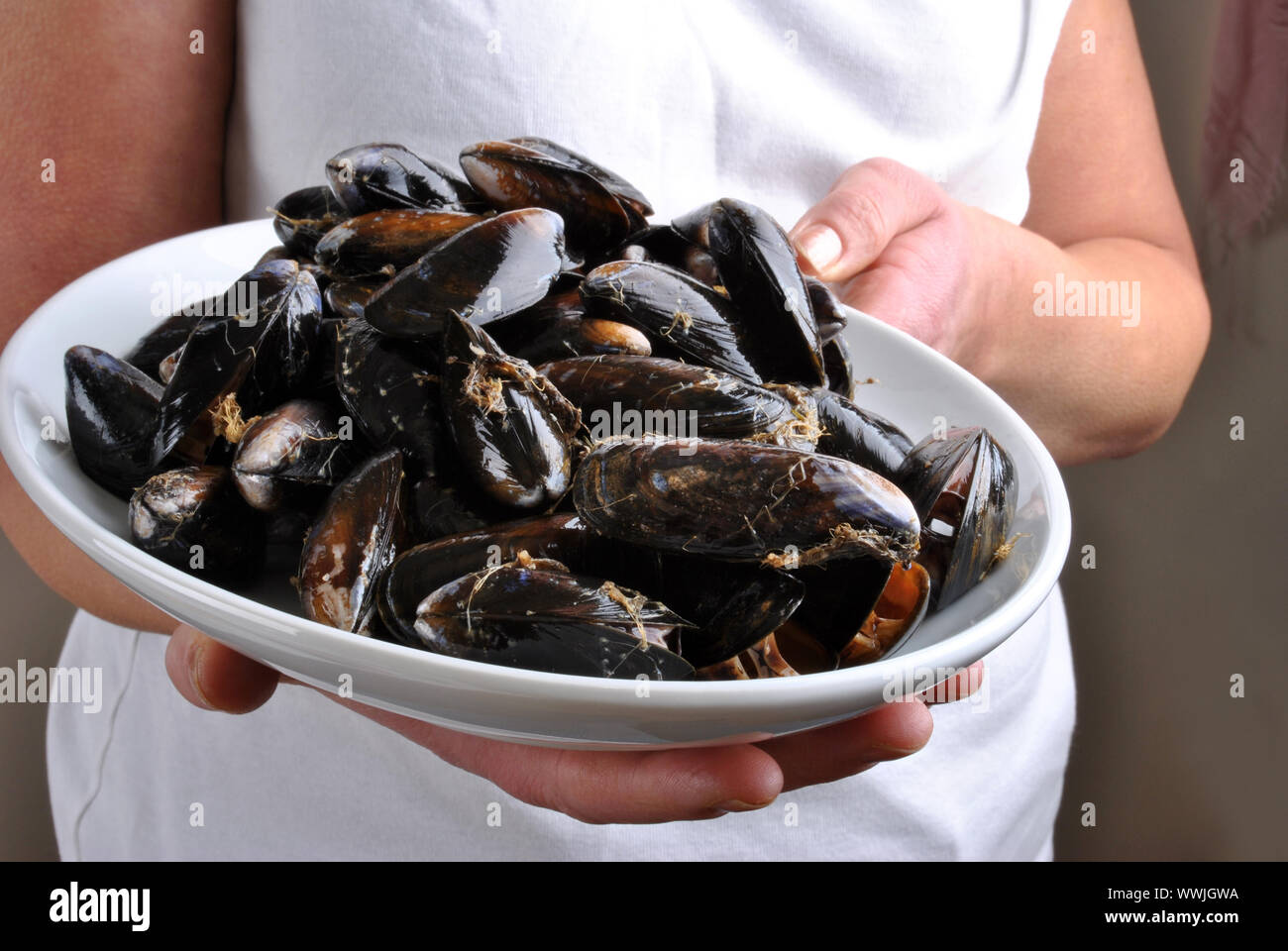 some fresh and organic mussel before preparation Stock Photo - Alamy