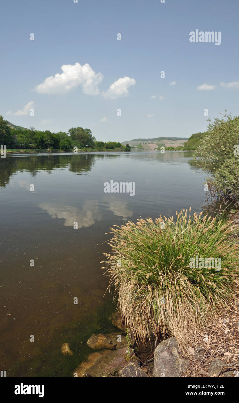 Saar pfalz hi-res stock photography and images - Alamy