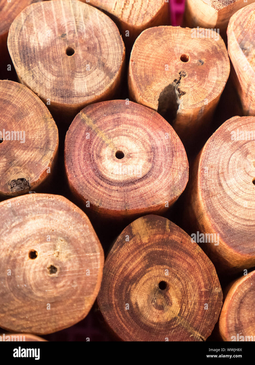 pile of cut log Stock Photo - Alamy