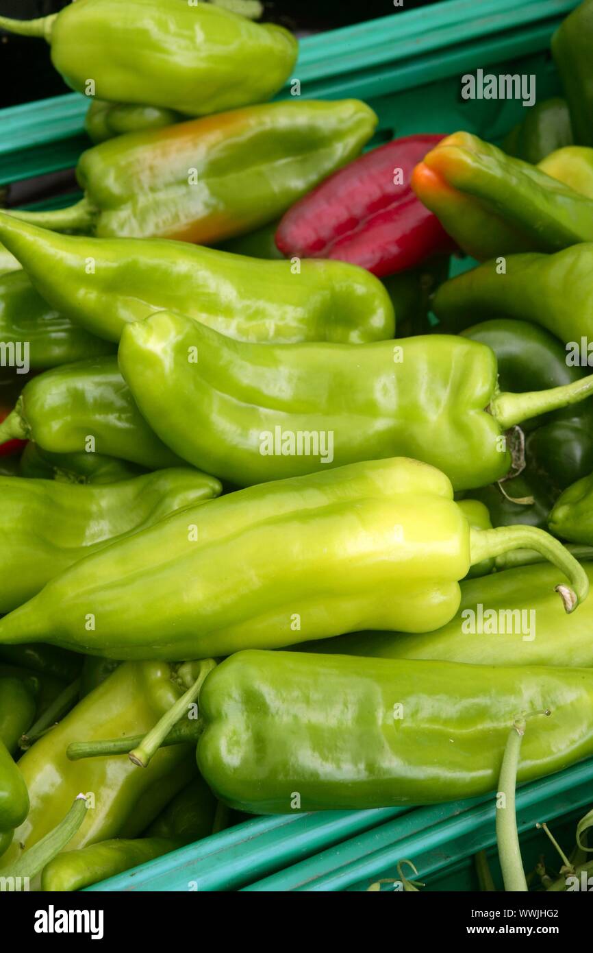 Green pepper texture in the marketplace macro pattern Stock Photo - Alamy