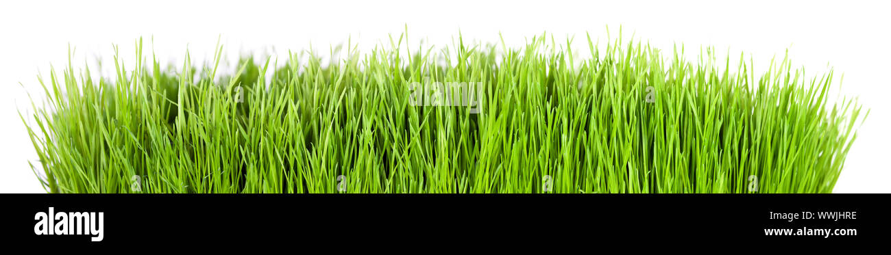 Gras panorama hi-res stock photography and images - Alamy