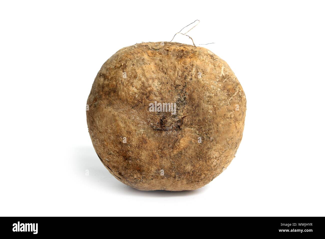 Jicama mexican yam hi-res stock photography and images - Alamy