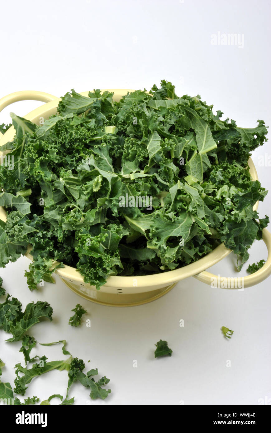organic tender leaf curly kale washed and ready to cook Stock Photo - Alamy