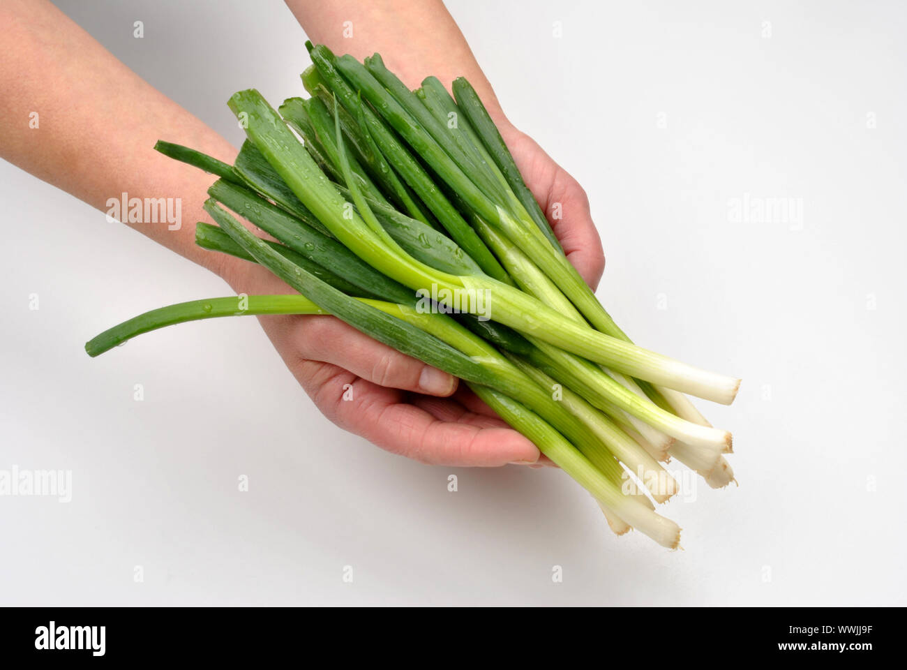 prepare and hold some organic spring onion Stock Photo - Alamy