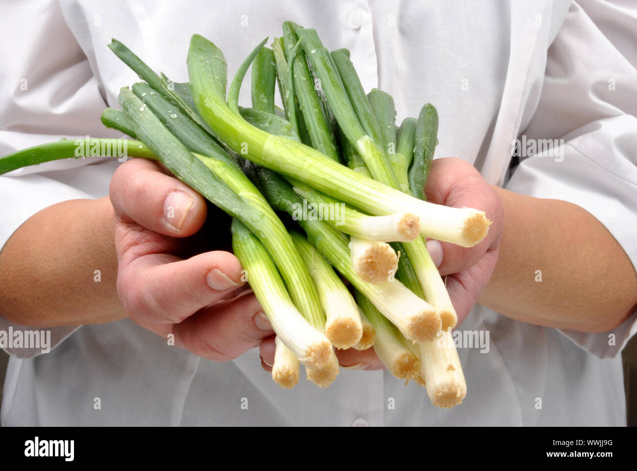 prepare and hold some organic spring onion Stock Photo - Alamy