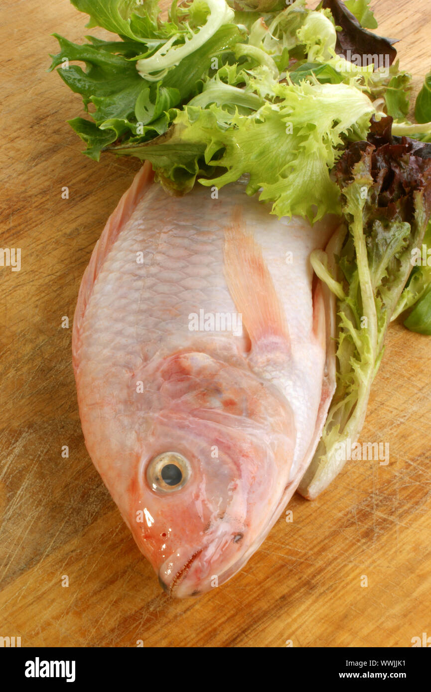 fresh organic african tilapia on a timber board Stock Photo - Alamy
