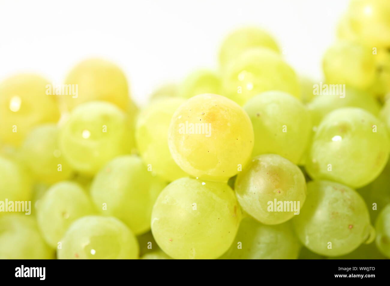 green grape isolated on white background Stock Photo - Alamy