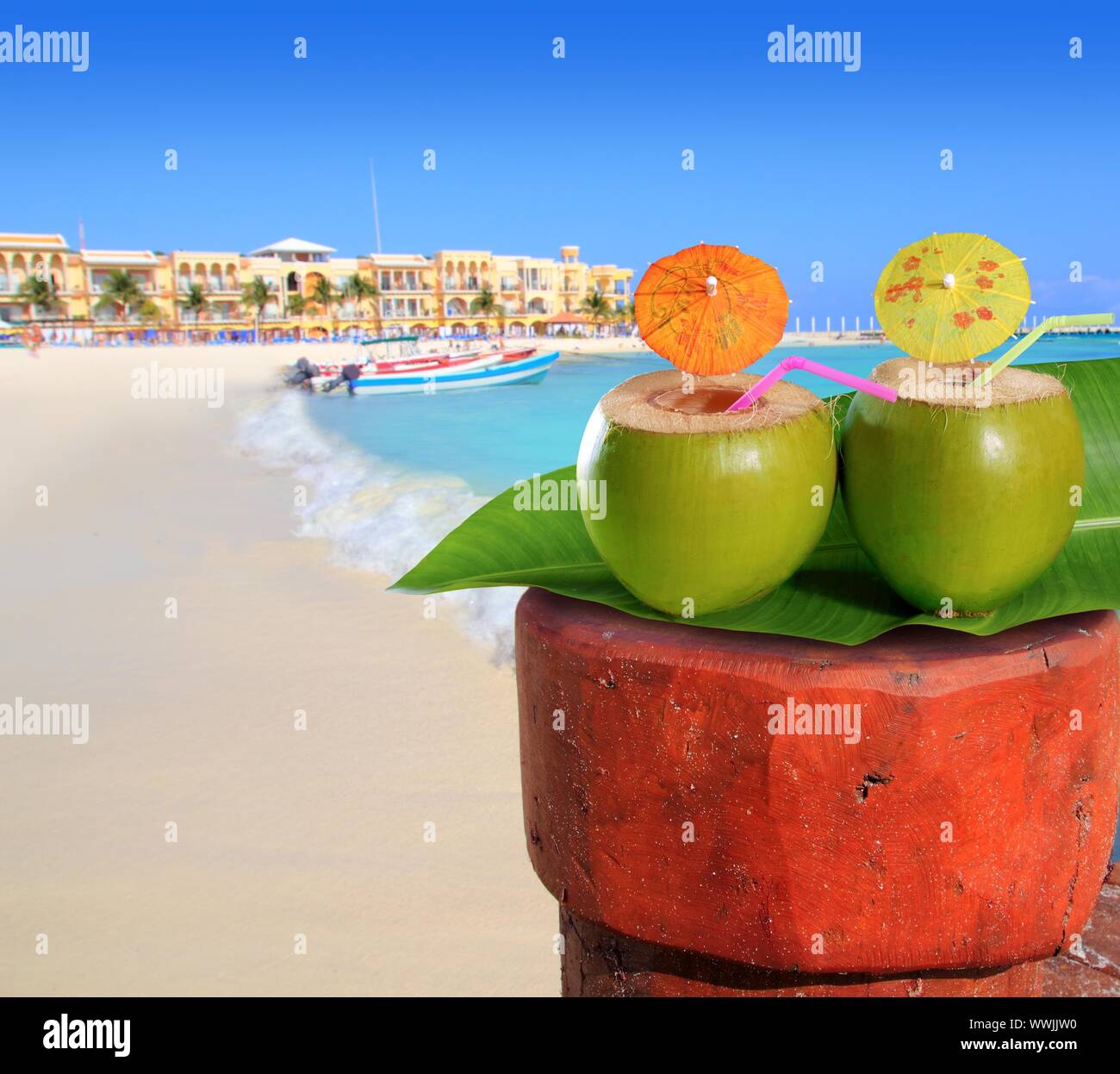 playa del Carmen mexico Mayan Riviera beach coconut cocktail straw ...